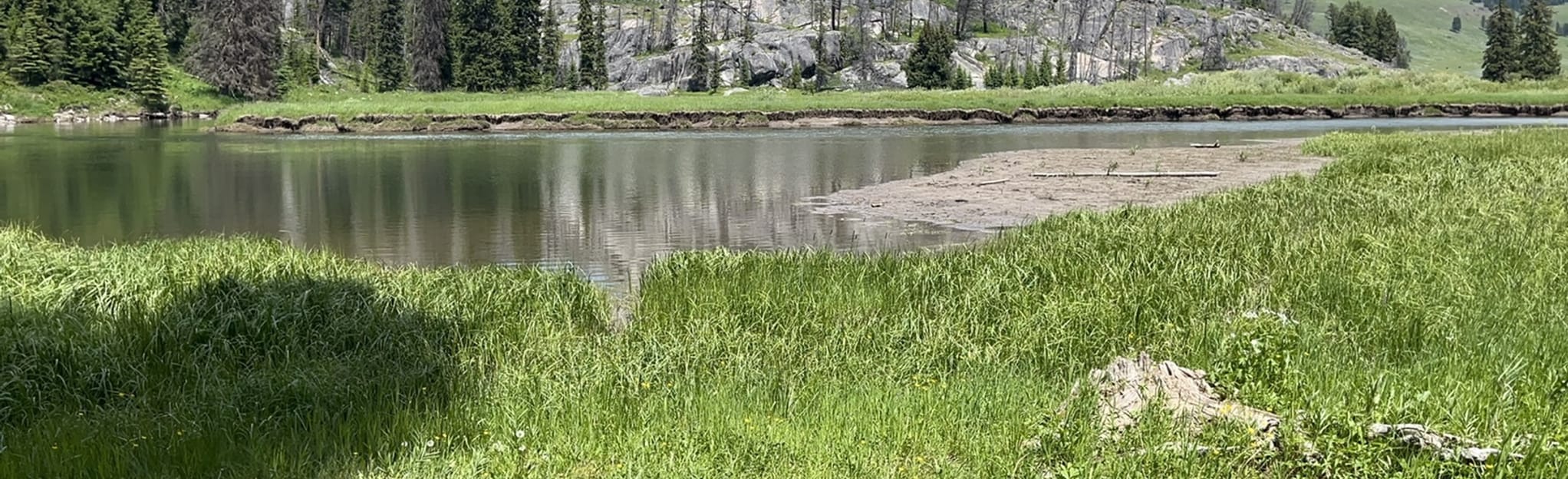 Buffalo Fork Trail, Montana - 2 Reviews, Map | AllTrails
