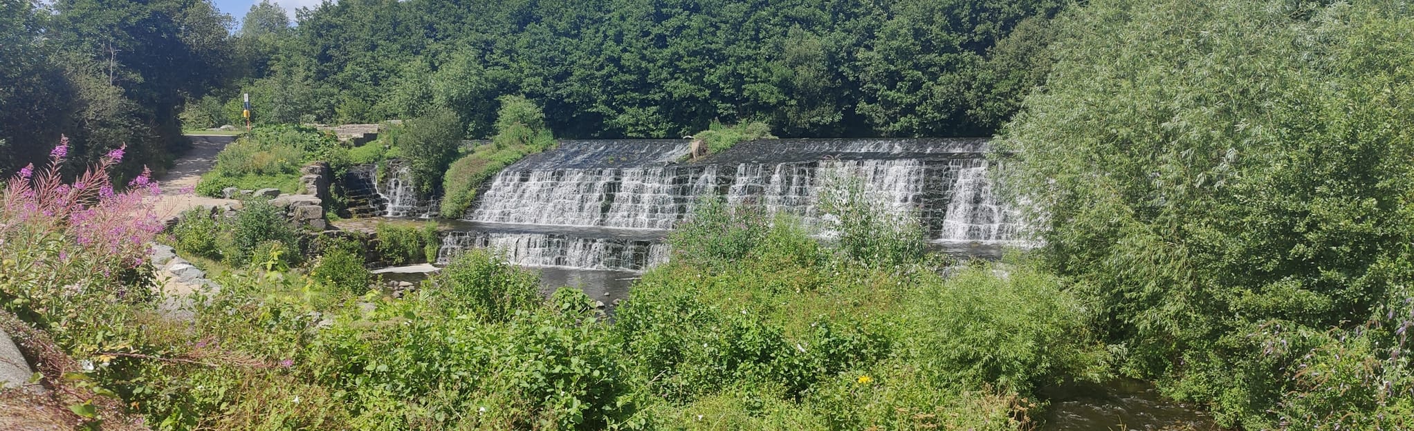 Dodder Valley Park: 24 Reviews, Map - County Dublin, Ireland | AllTrails