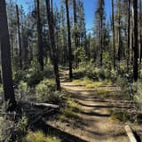 Fall River Loop, Oregon - 426 Reviews, Map | AllTrails