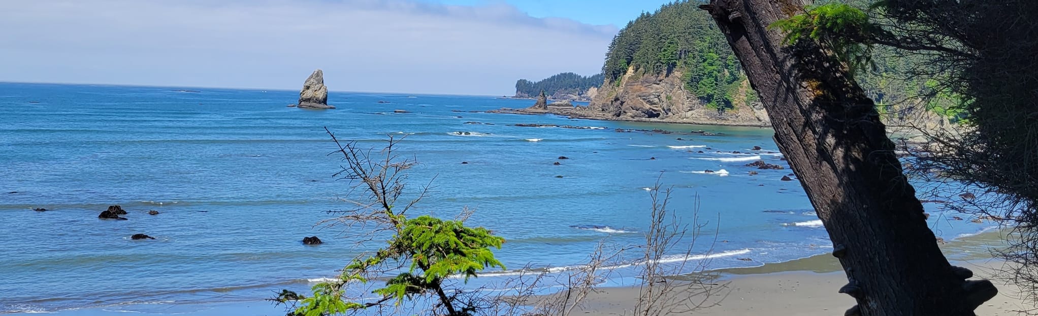 AllTrails | Third Beach Trail to Taylor Point: 759 Reviews, Map ...