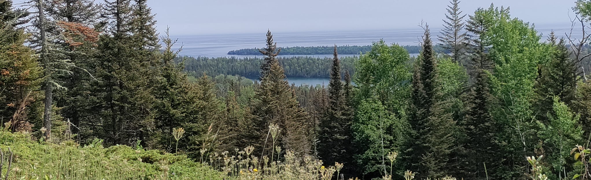 Greenstone Ridge Trail via East Chickenbone Lake Campground: 9 Reviews ...