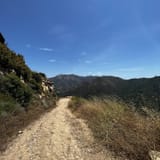 Bulldog Loop Trail, California - 750 Reviews, Map | AllTrails