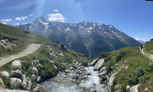 2023 Best Forest Trails in Ferden | AllTrails