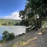 Bon Tempe Lake Loop, California - 1,720 Reviews, Map | AllTrails