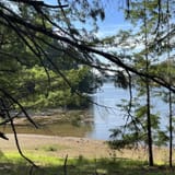 Bon Tempe Lake Loop, California - 1,720 Reviews, Map | AllTrails