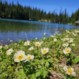 Silver Lake Way Trail, Washington - 424 Reviews, Map | AllTrails