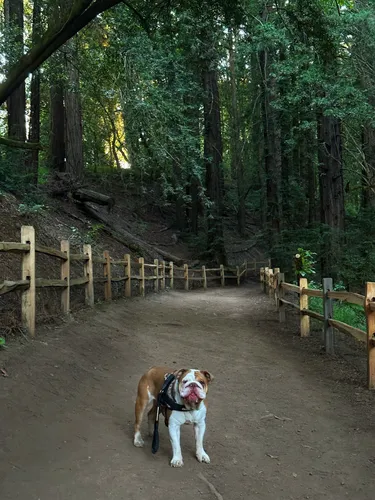 Best Hikes and Trails in Roberts Regional Recreation Area | AllTrails