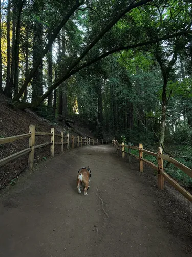 Best Hikes and Trails in Roberts Regional Recreation Area | AllTrails