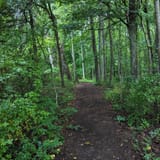 Cash Lake Loop Trail, Maryland - 1,029 Reviews, Map | AllTrails