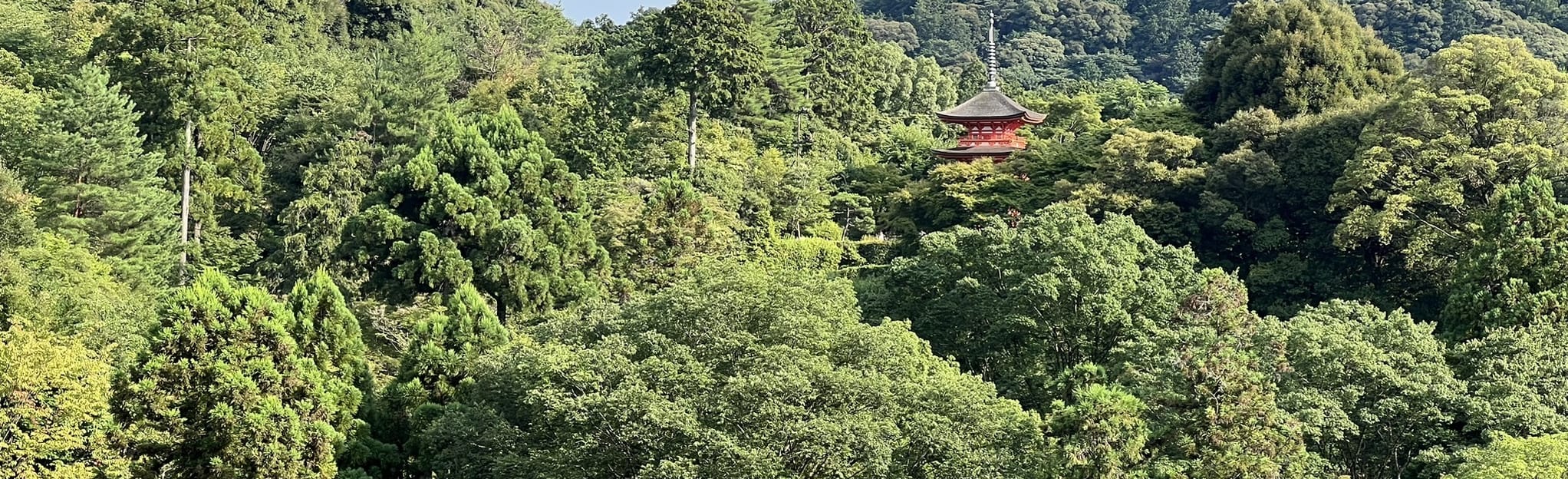 Kiyomizu-dera Temple - Ninenzaka, Kyoto, Japan - 16 Reviews, Map ...