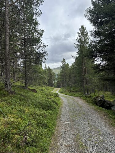 Best Hikes and Trails in Eldåa naturreservat | AllTrails