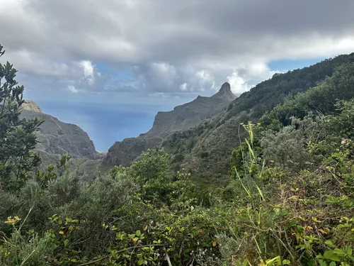 Best Waterfall Trails in Parque Rural de Anaga | AllTrails