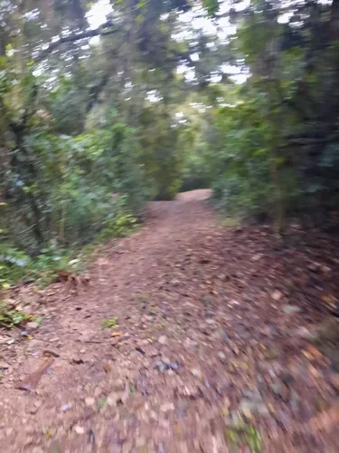Best Hikes and Trails in Rowallan Park | AllTrails