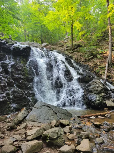 Best River Trails in Mahwah | AllTrails