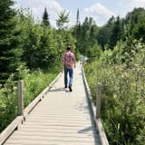 Barnes Camp Loop, Vermont - 456 Reviews, Map | AllTrails