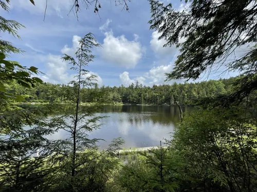 10 Best Hikes and Trails in Lake George Wild Forest | AllTrails