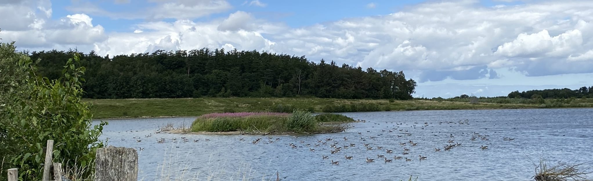 Lille Ibjerg - Store Ibjerg Sø Rundt: 27 Reviews, Map - Region of ...