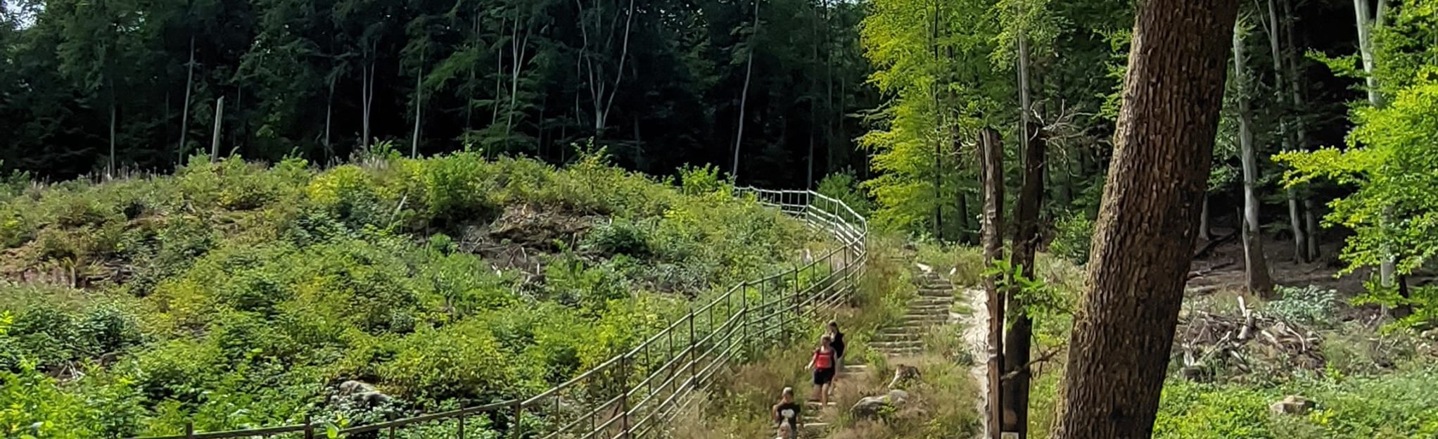 Devil's Gorge (South Eifel Nature Park hiking trail no. 54): 87 Reviews ...