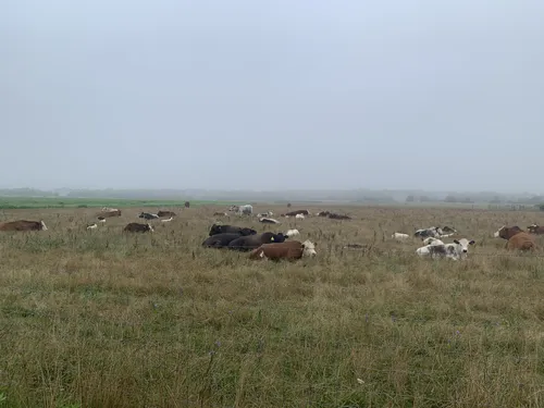 Best Hikes and Trails in Katama Farm | AllTrails