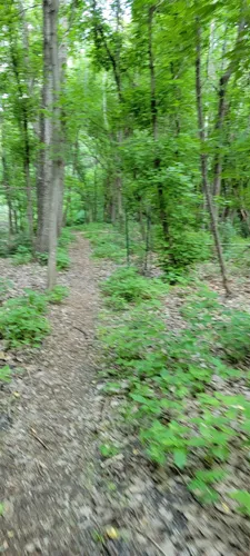 Best Hikes and Trails in Purgatory Park | AllTrails