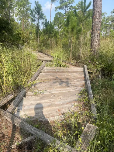 2023 Best Beach Trails in Gulf Shores | AllTrails