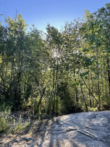 10 Best Mountain Biking Trails in Maple Ridge | AllTrails