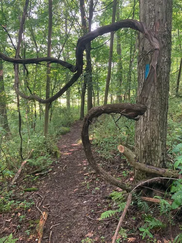 2023 Best Backpacking Trails in Wampum | AllTrails