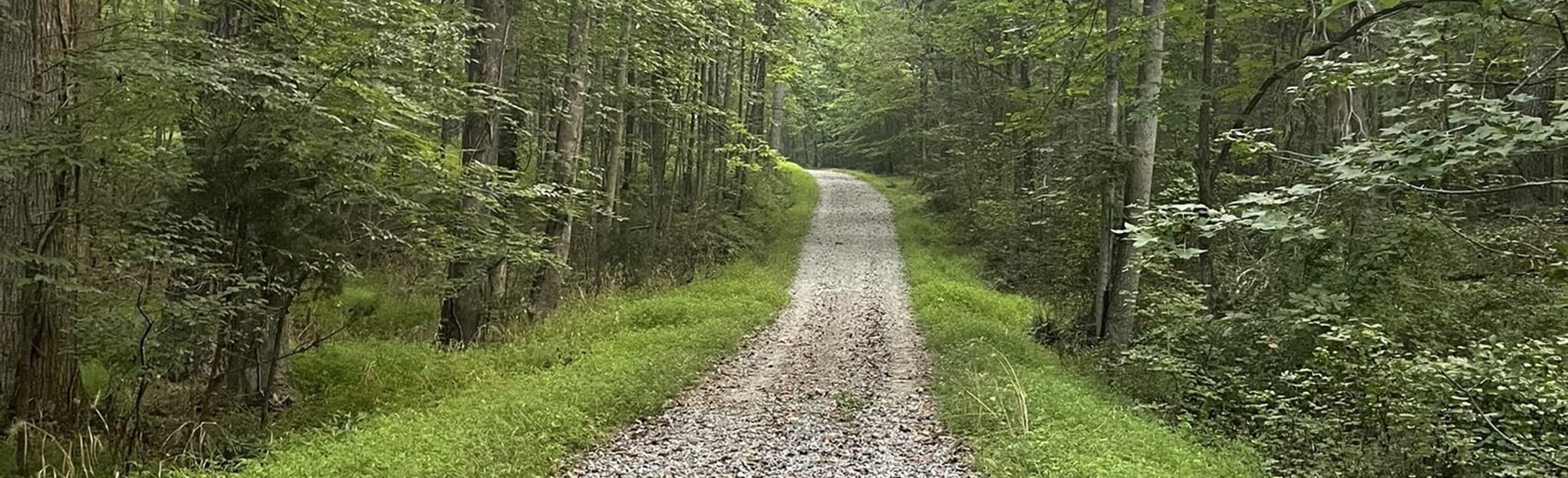 Durham Division East Trails, North Carolina - 136 Reviews, Map | AllTrails