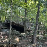 Moss Rock Preserve Trail, Alabama - 956 Reviews, Map | AllTrails