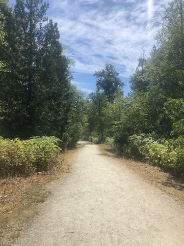 10 Best Walking Trails in Surrey | AllTrails