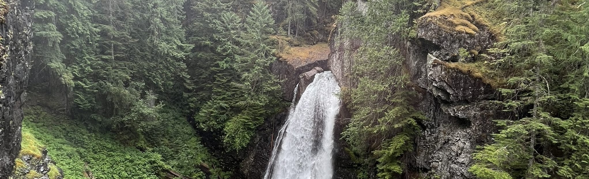 Lady Falls: 64 foto's - Brits-Columbia, Canada | Wandelen - AllTrails