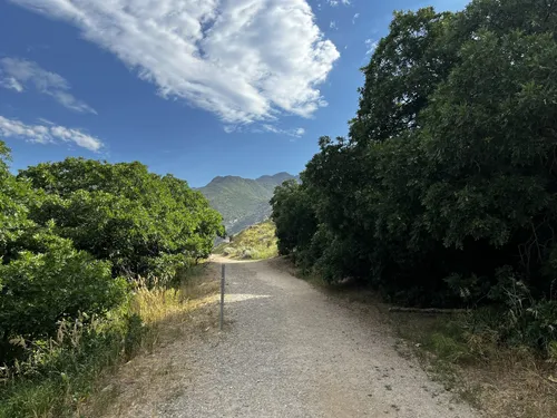 10 Best Trails and Hikes in Sandy | AllTrails