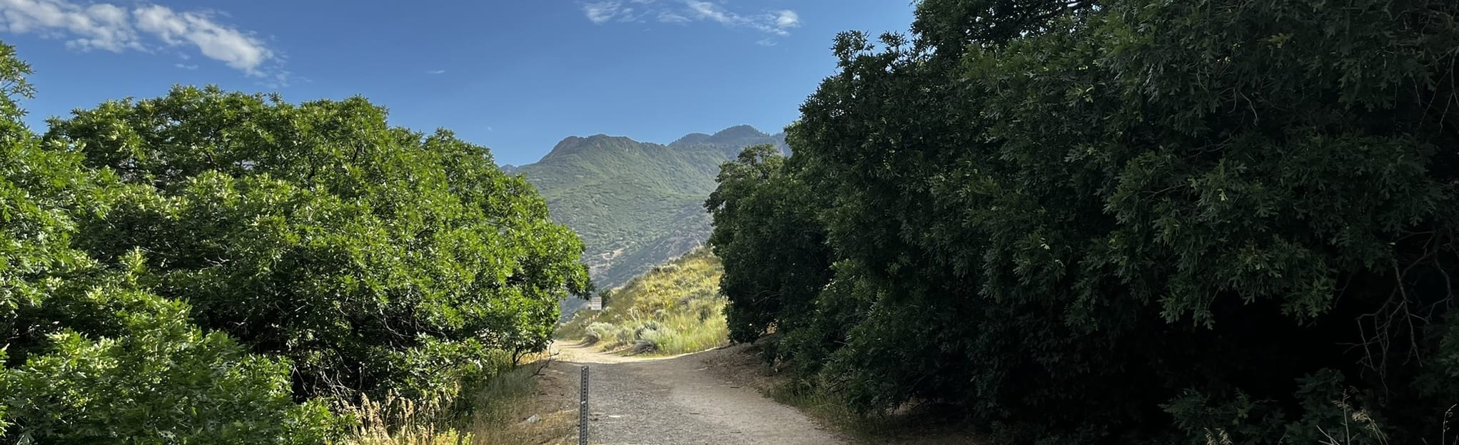 Ferguson Canyon View Point, Utah - 1,726 Reviews, Map | AllTrails