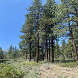 Jones Creek Loop, Nevada - 1,050 Reviews, Map | AllTrails