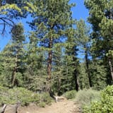 Jones Creek Loop, Nevada - 1,050 Reviews, Map | AllTrails