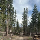 Inyo Craters Trail, California - 611 Reviews, Map | AllTrails