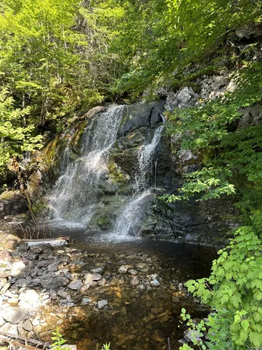 Best Hikes and Trails in Terrenceville | AllTrails