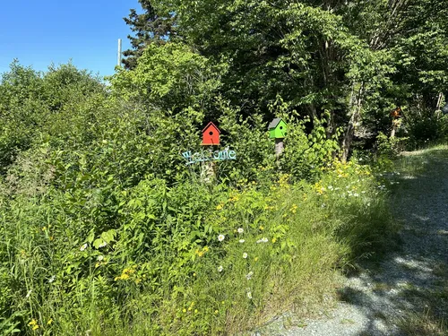 Best Hikes and Trails in Terrenceville | AllTrails