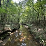 Bridge Loop Trail and Lake Loop Trail, Georgia - 840 Reviews, Map ...