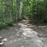 Bridge Loop Trail and Lake Loop Trail, Georgia - 840 Reviews, Map ...