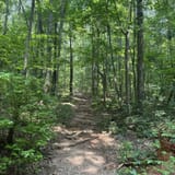 Bridge Loop Trail and Lake Loop Trail, Georgia - 840 Reviews, Map ...