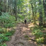Yellow Point Bog Ecological Reserve and Yellow Point Park Loop, British ...