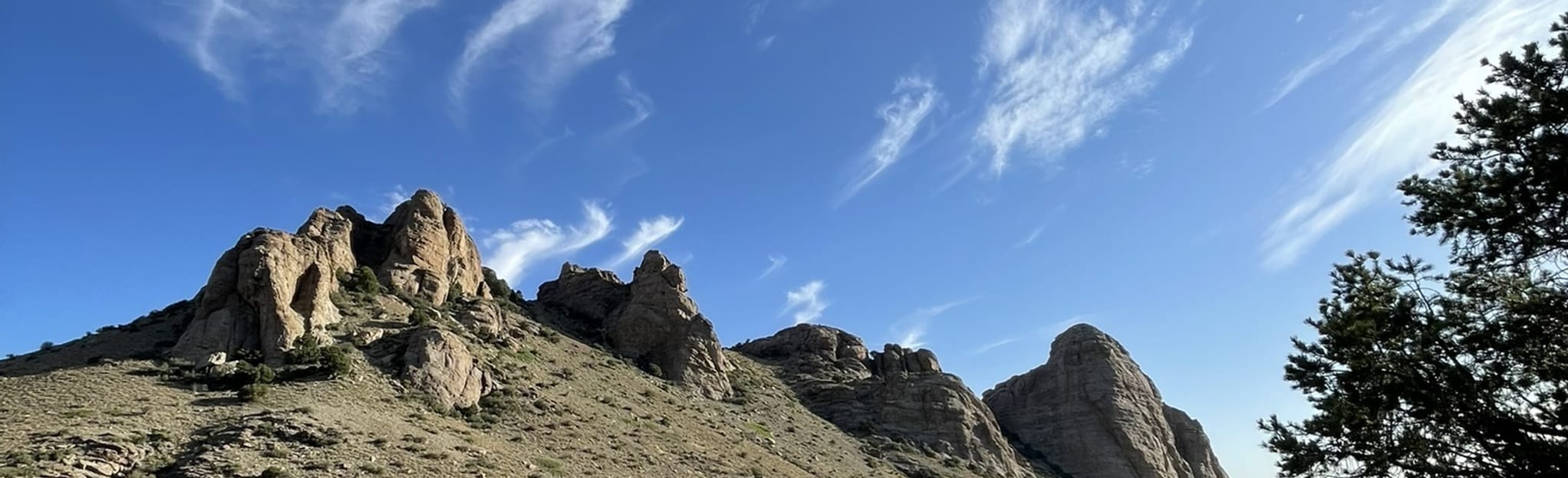 Spring Canyon Trail: 60 Reviews, Map - New Mexico | AllTrails