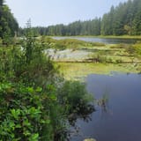 Yellow Point Bog Ecological Reserve and Yellow Point Park Loop, British ...