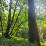Yellow Point Bog Ecological Reserve and Yellow Point Park Loop, British ...