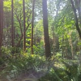 Yellow Point Bog Ecological Reserve and Yellow Point Park Loop, British ...