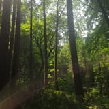 Yellow Point Bog Ecological Reserve and Yellow Point Park Loop, British ...