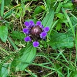 Yellow Point Bog Ecological Reserve and Yellow Point Park Loop, British ...