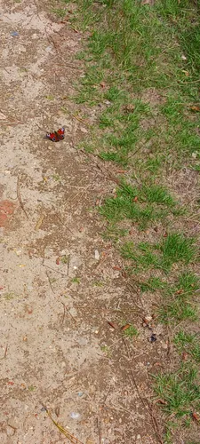 Best Hikes and Trails in Tunstall Forest | AllTrails