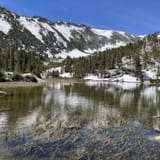 Tyee Lakes Trail, California - 243 Reviews, Map | AllTrails